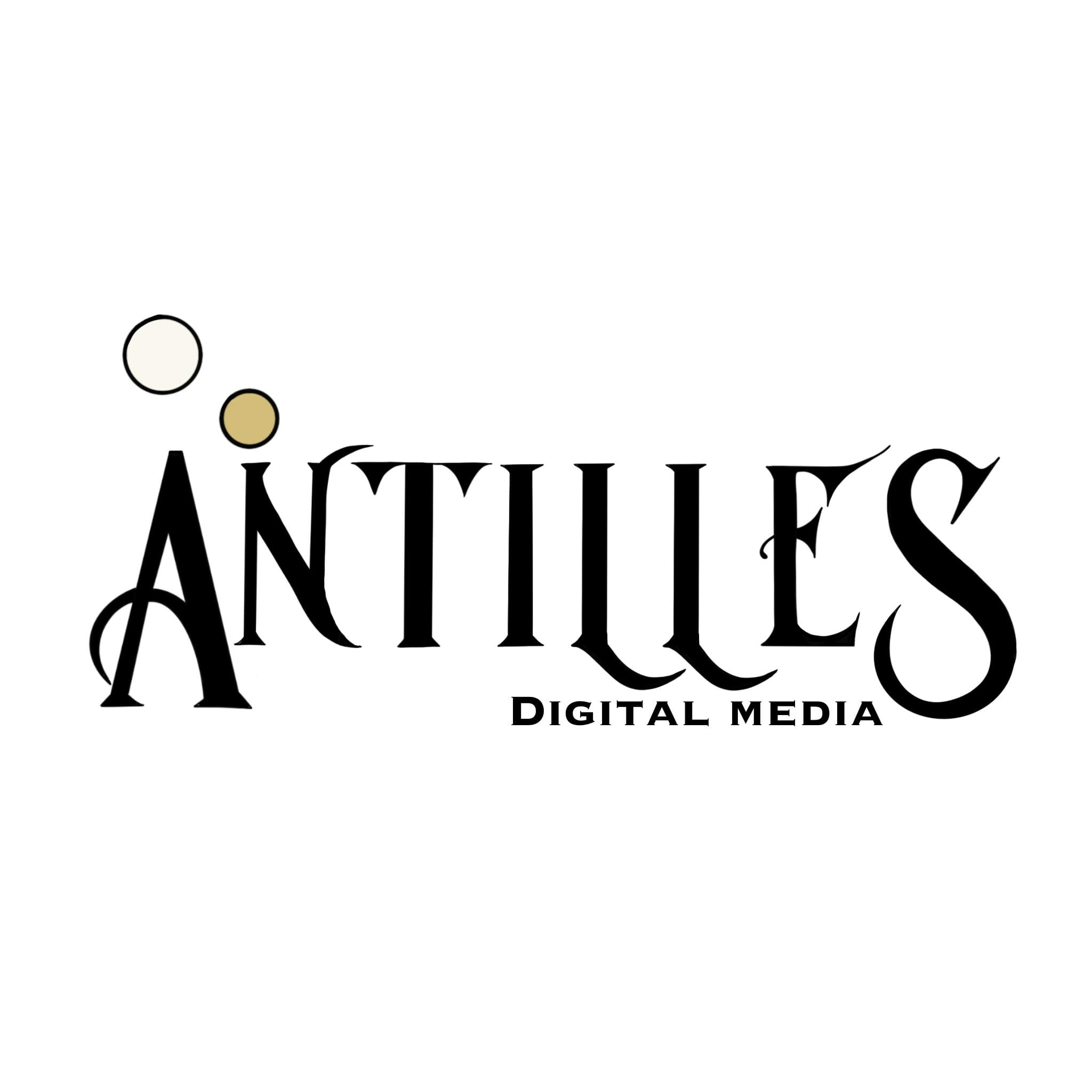 SEO Agency Spotlight: Antilles Digital Media - Bill Hartzer