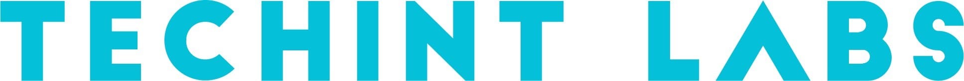 Dominate the Digital Landscape: Techint Labs Unveils Whitepaper on ...