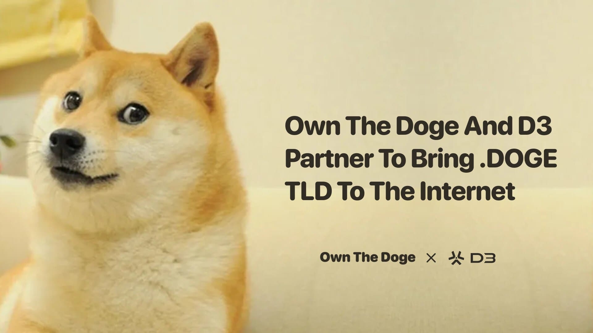 Own The Doge Partners with D3 to Launch .doge Domains - Bill Hartzer