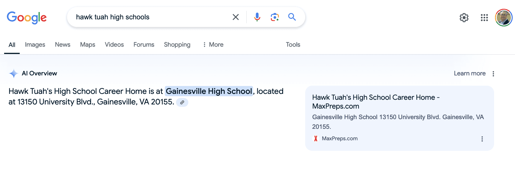 Hawk Tuah Infiltrates Google's AI Overviews - Bill Hartzer